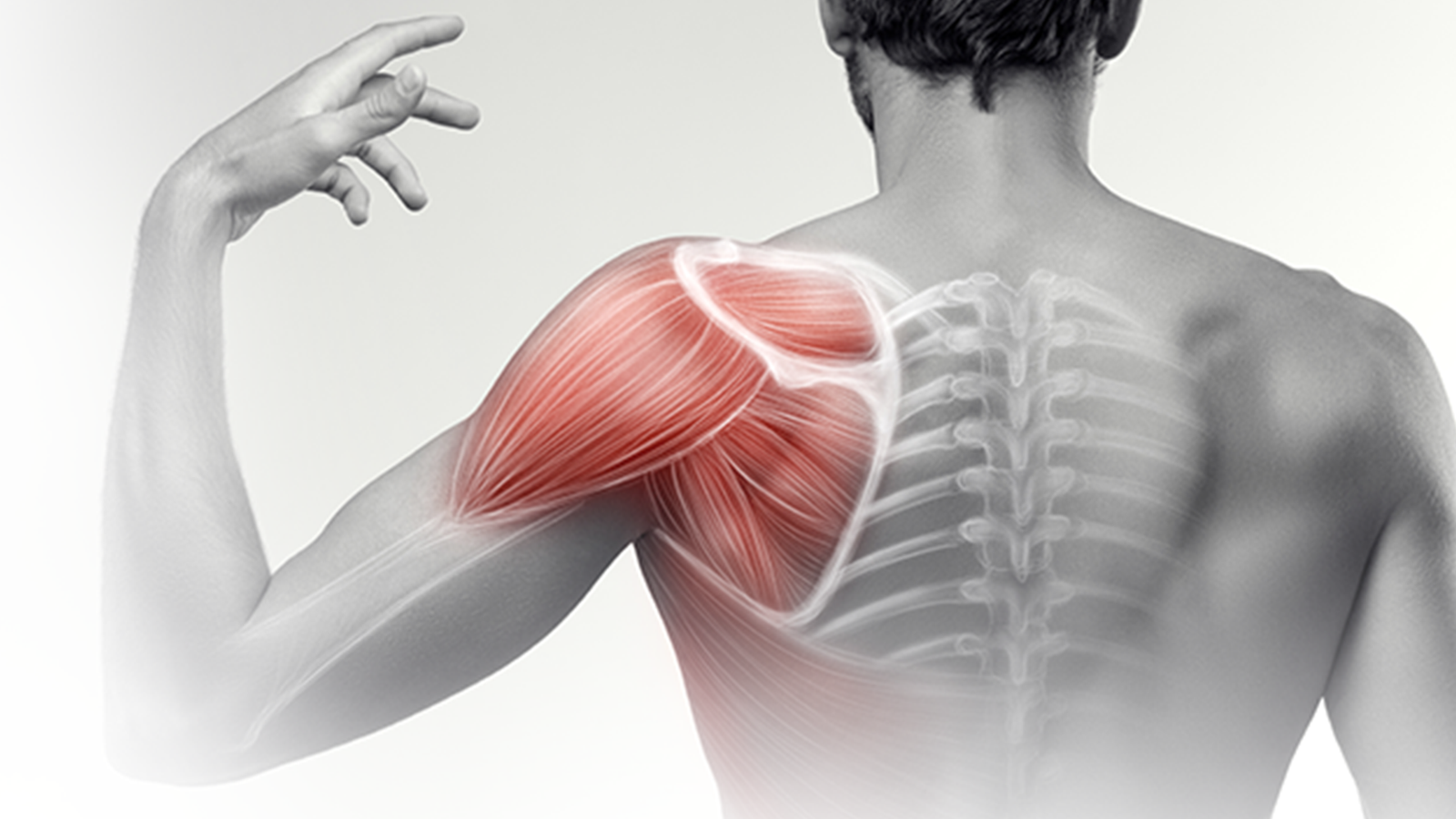 shoulder pain - Ajay Gour